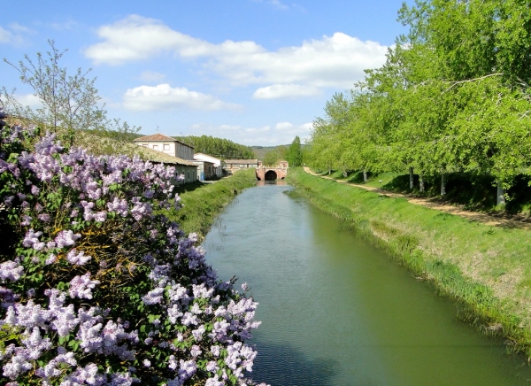 Canal de Castilla: un viaje insospechado a través del agua - Destino